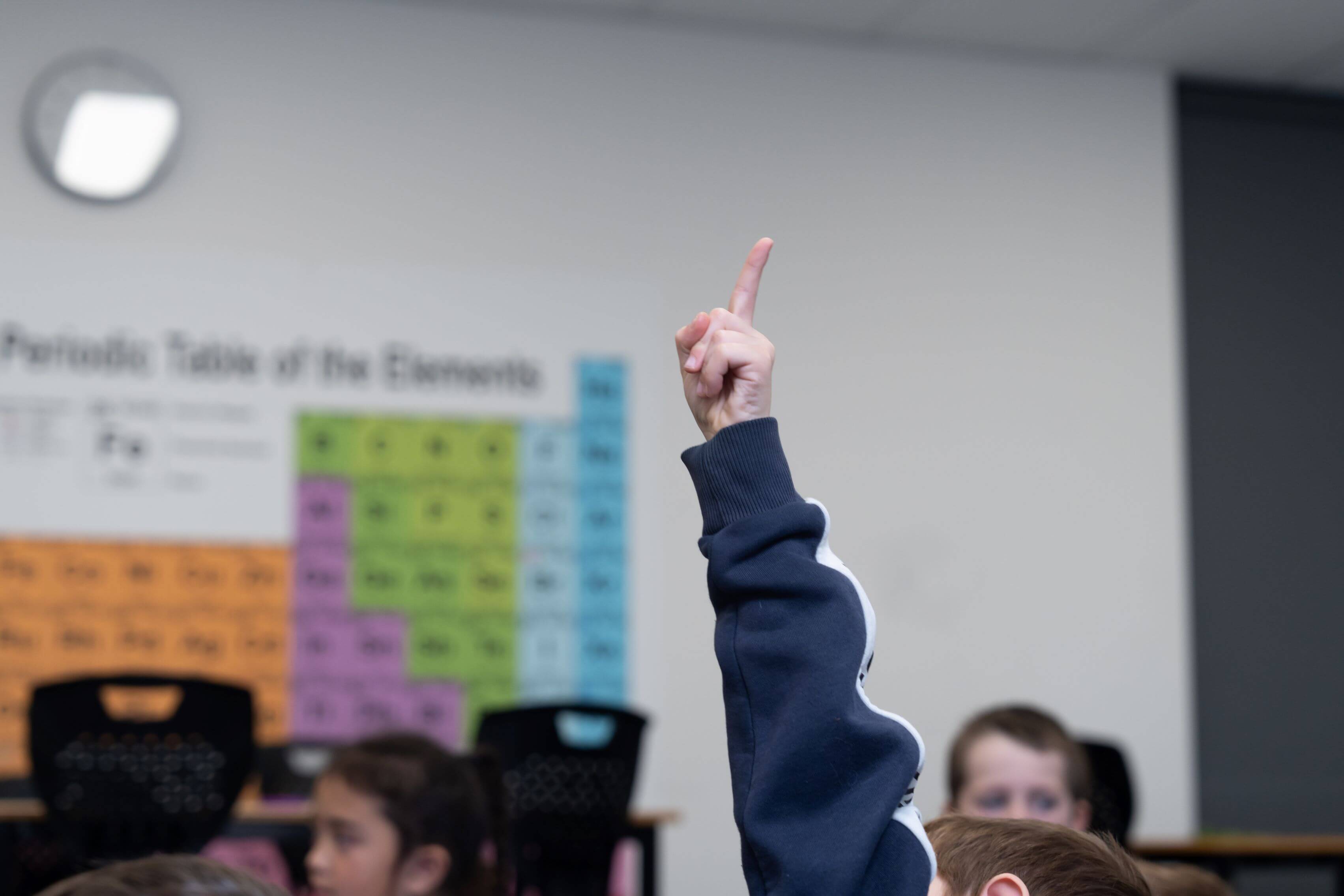 Lesson 1 • Using senses to observe | Primary Connections